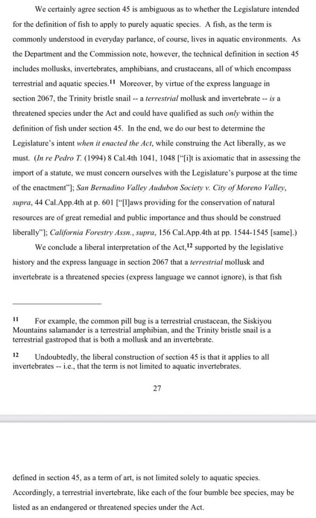 In California, Bees Identify As Fish | The Political Hat